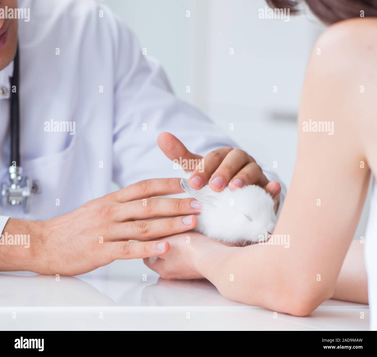 Woman pet rabbit visiting hi-res stock photography and images - Alamy