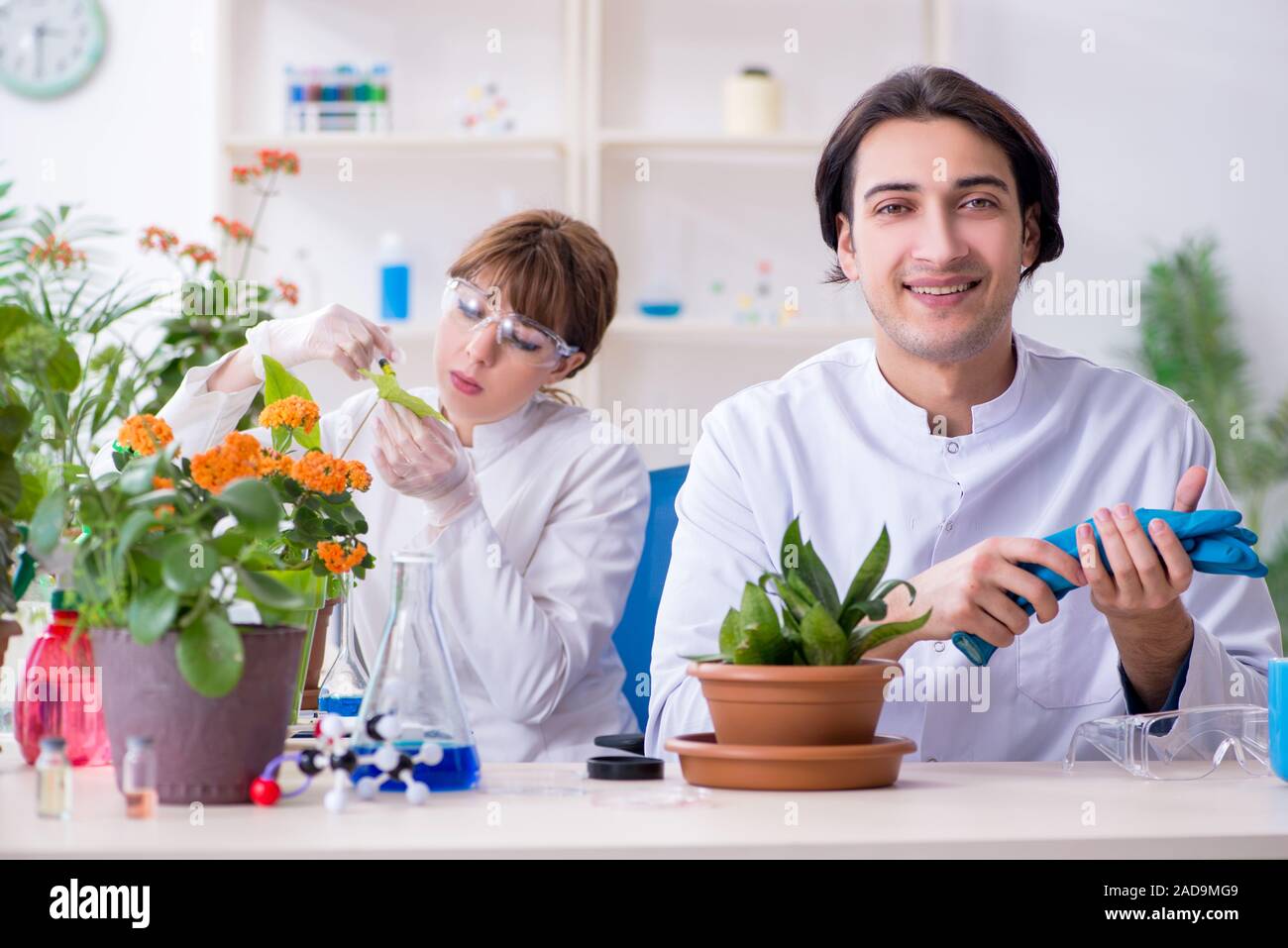 Two young botanist working in the lab Stock Photo - Alamy