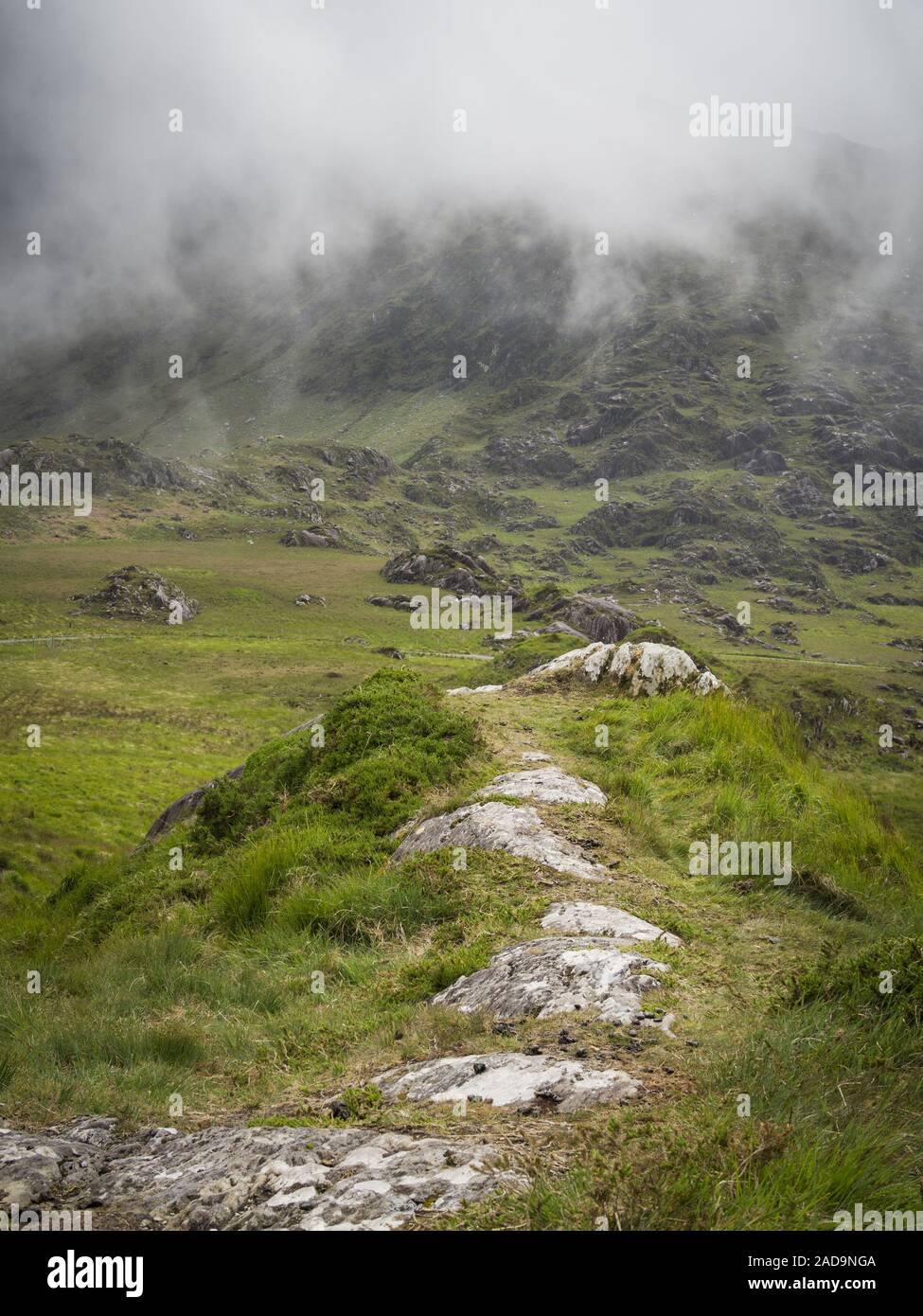 Misty path hi-res stock photography and images - Alamy