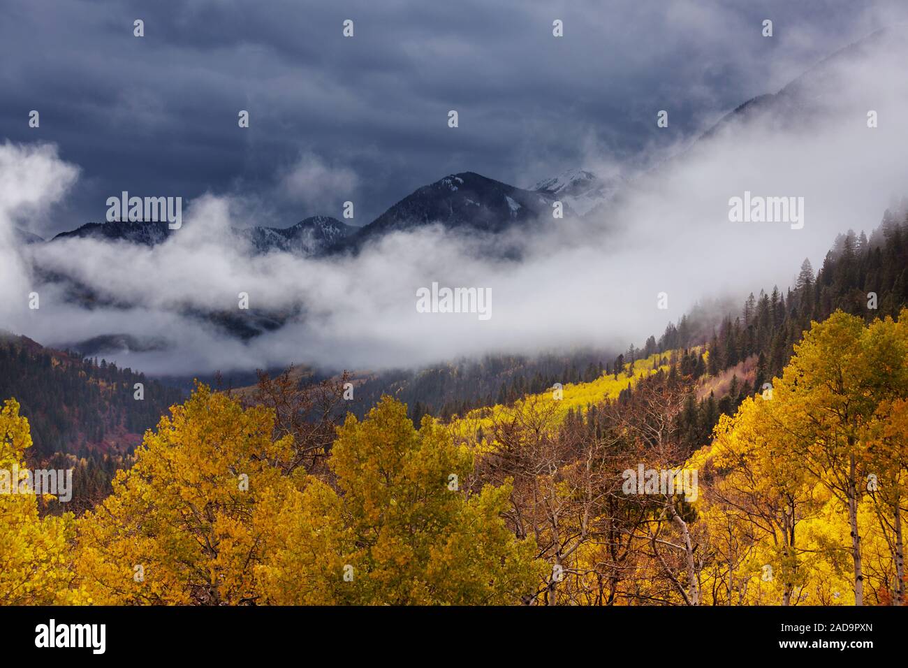 Autumn in Colorado Stock Photo - Alamy