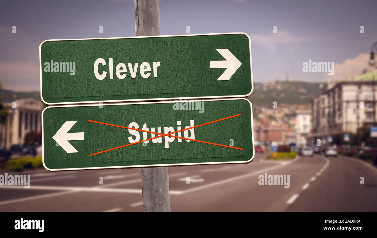 Street Sign Clever versus Stupid Stock Photo - Alamy