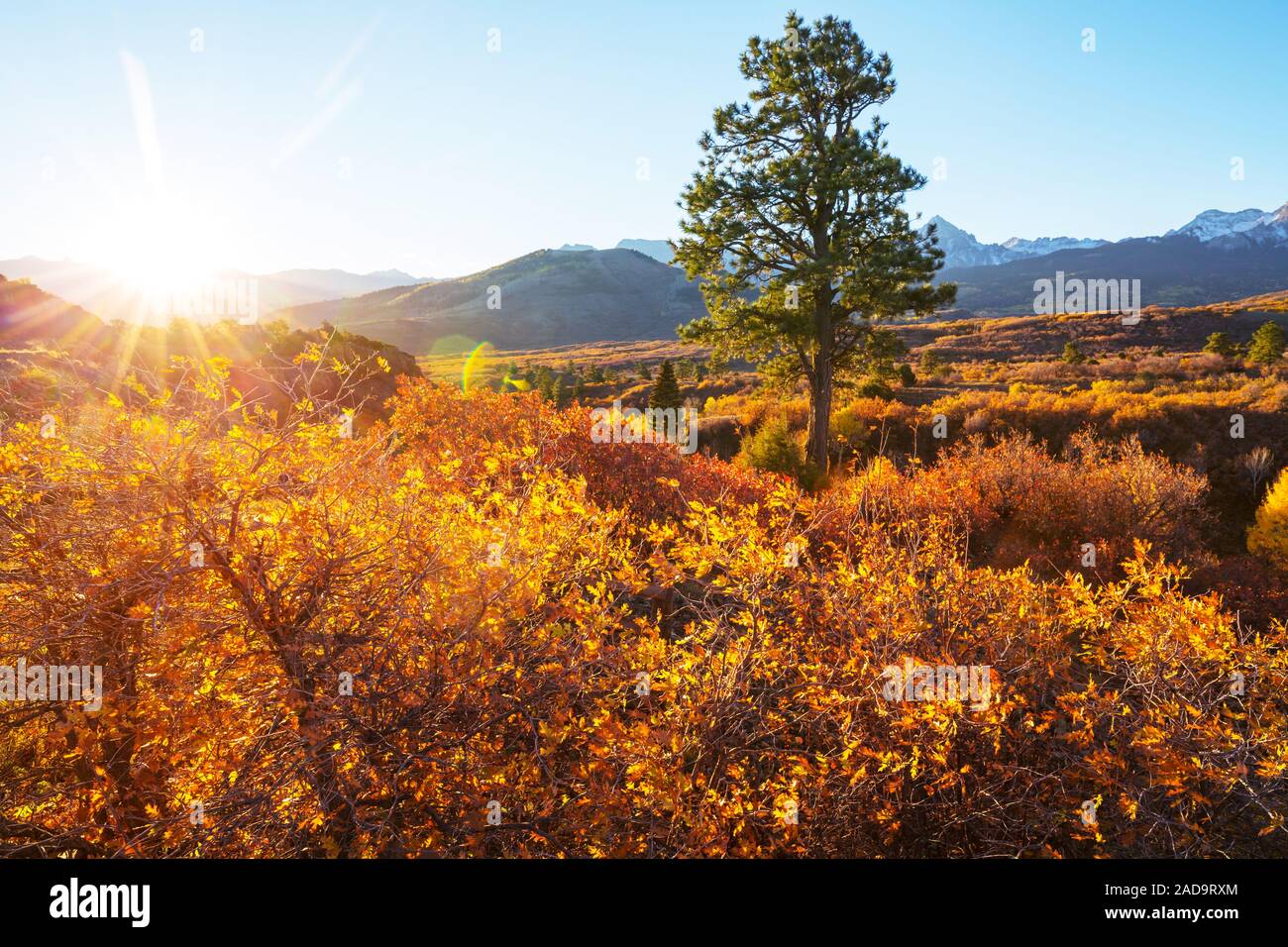 Colorado usa in sea hi-res stock photography and images - Alamy