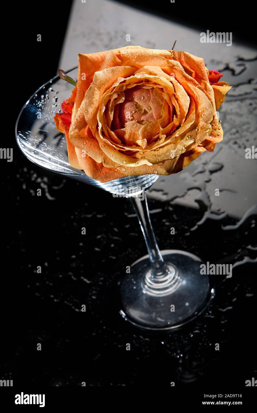 Rose And Glass Stock Photo - Alamy