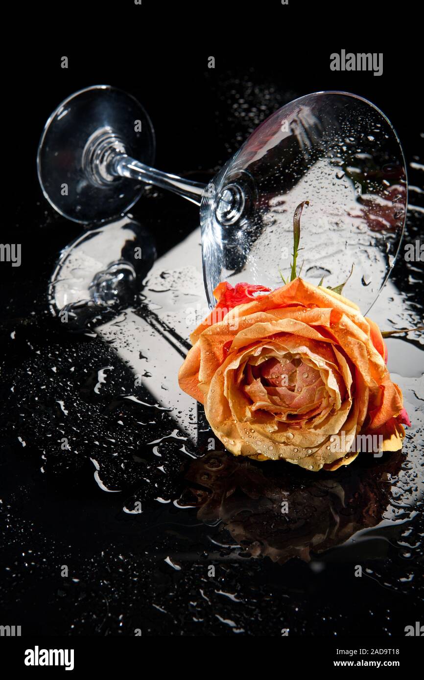 Rose And Glass Stock Photo - Alamy