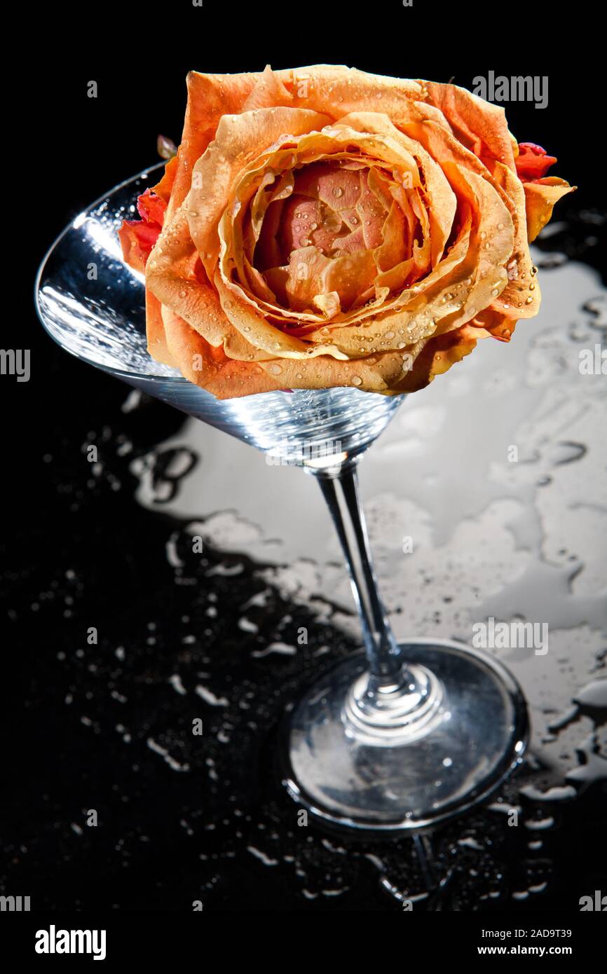 Rose And Glass Stock Photo - Alamy
