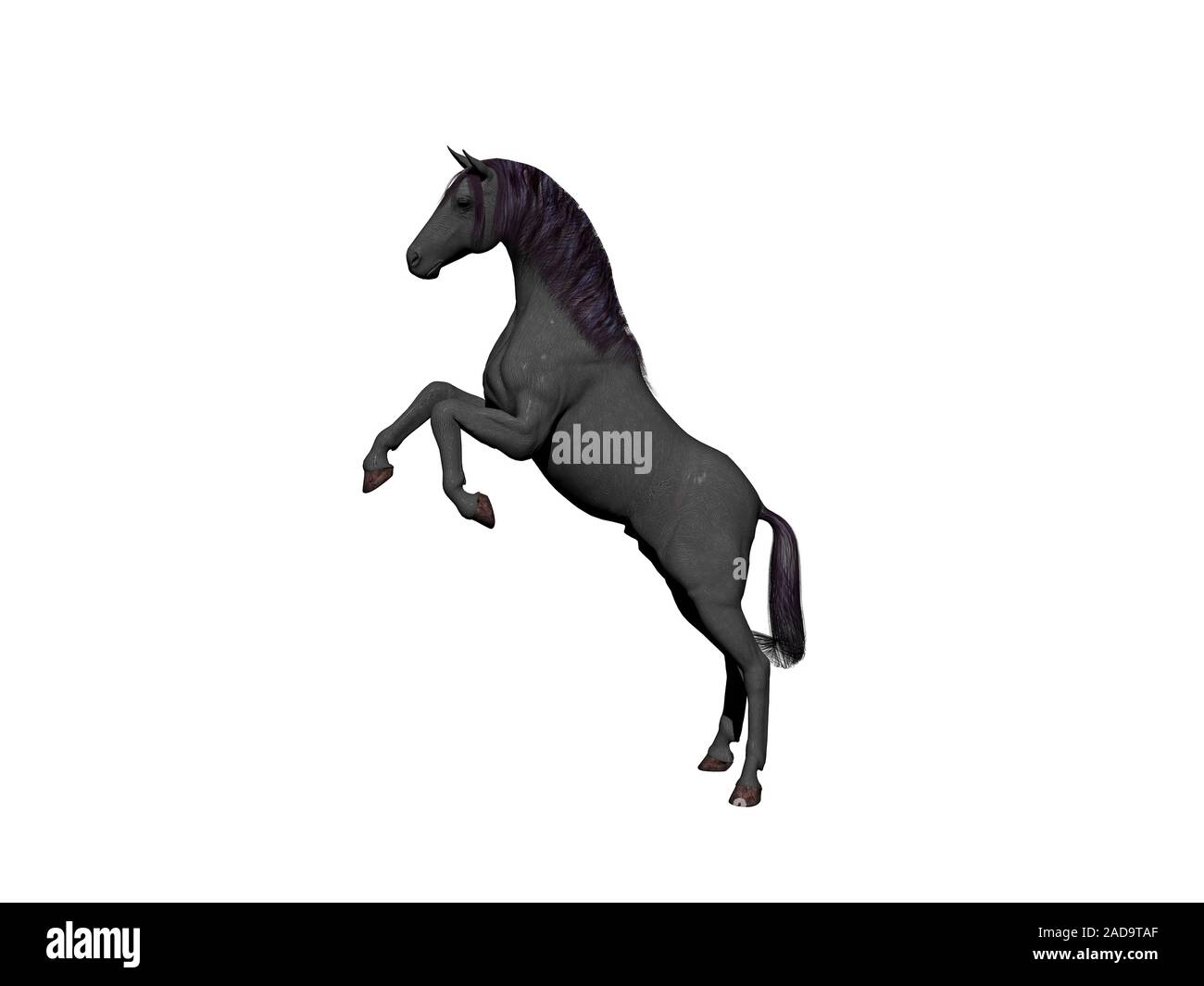 The hind of mount hi-res stock photography and images - Alamy