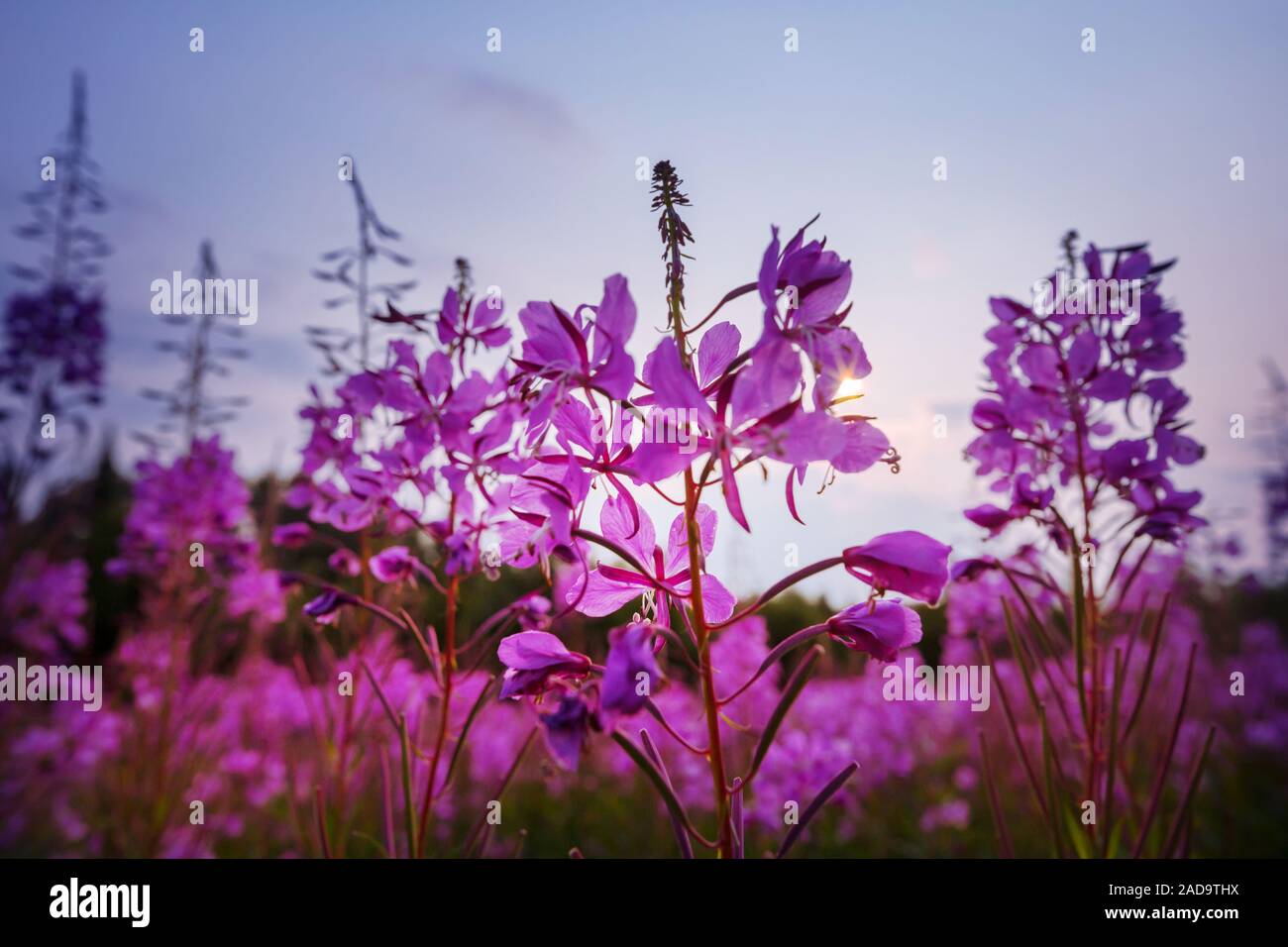 Ray mountains hi-res stock photography and images - Alamy