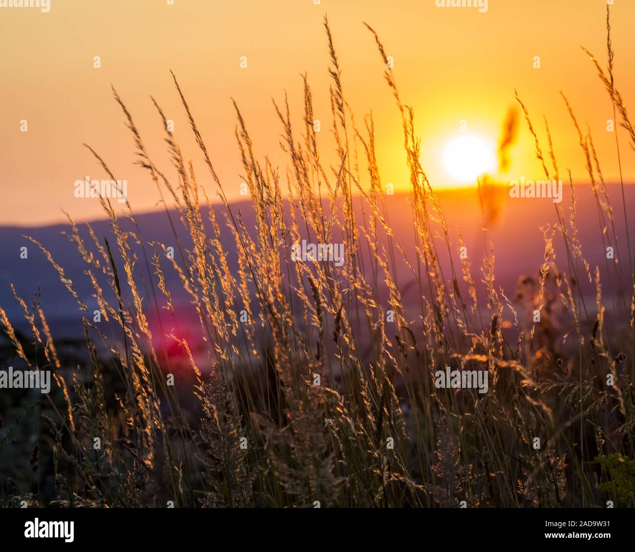 Leitha mountains hi-res stock photography and images - Alamy