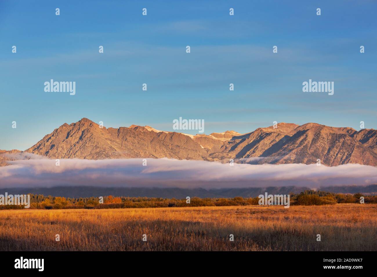 With the grand teton mou hi-res stock photography and images - Alamy