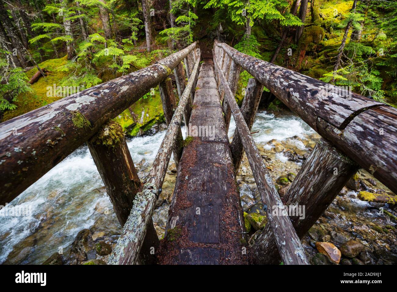 Bridge in the forest Stock Photo - Alamy