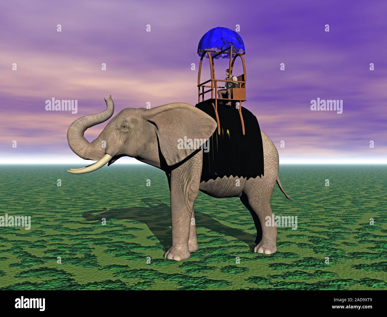Riding elephant with saddle in the meadow Stock Photo - Alamy