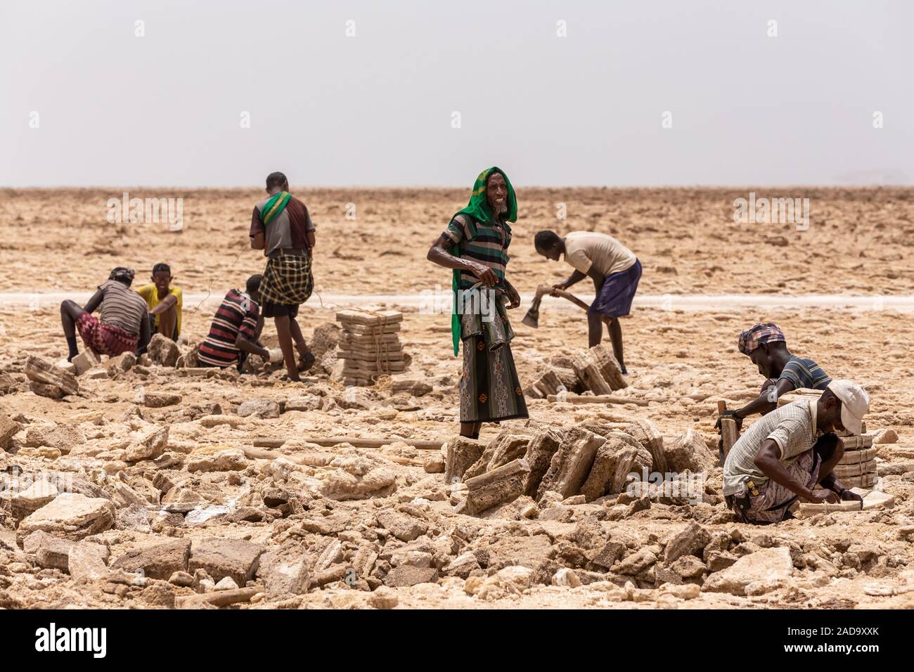 camel caravan and Afar mining salt in Danakil depression, Ethiopia ...