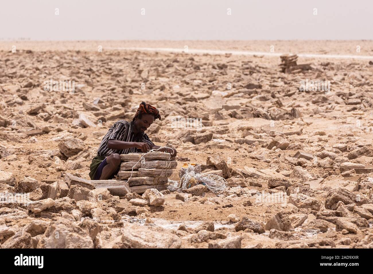 camel caravan and Afar mining salt in Danakil depression, Ethiopia ...