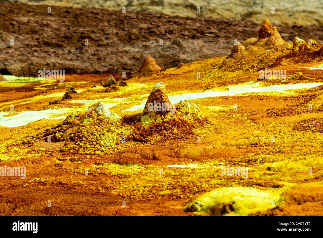 Dallol, Ethiopia. Danakil Depression Stock Photo - Alamy
