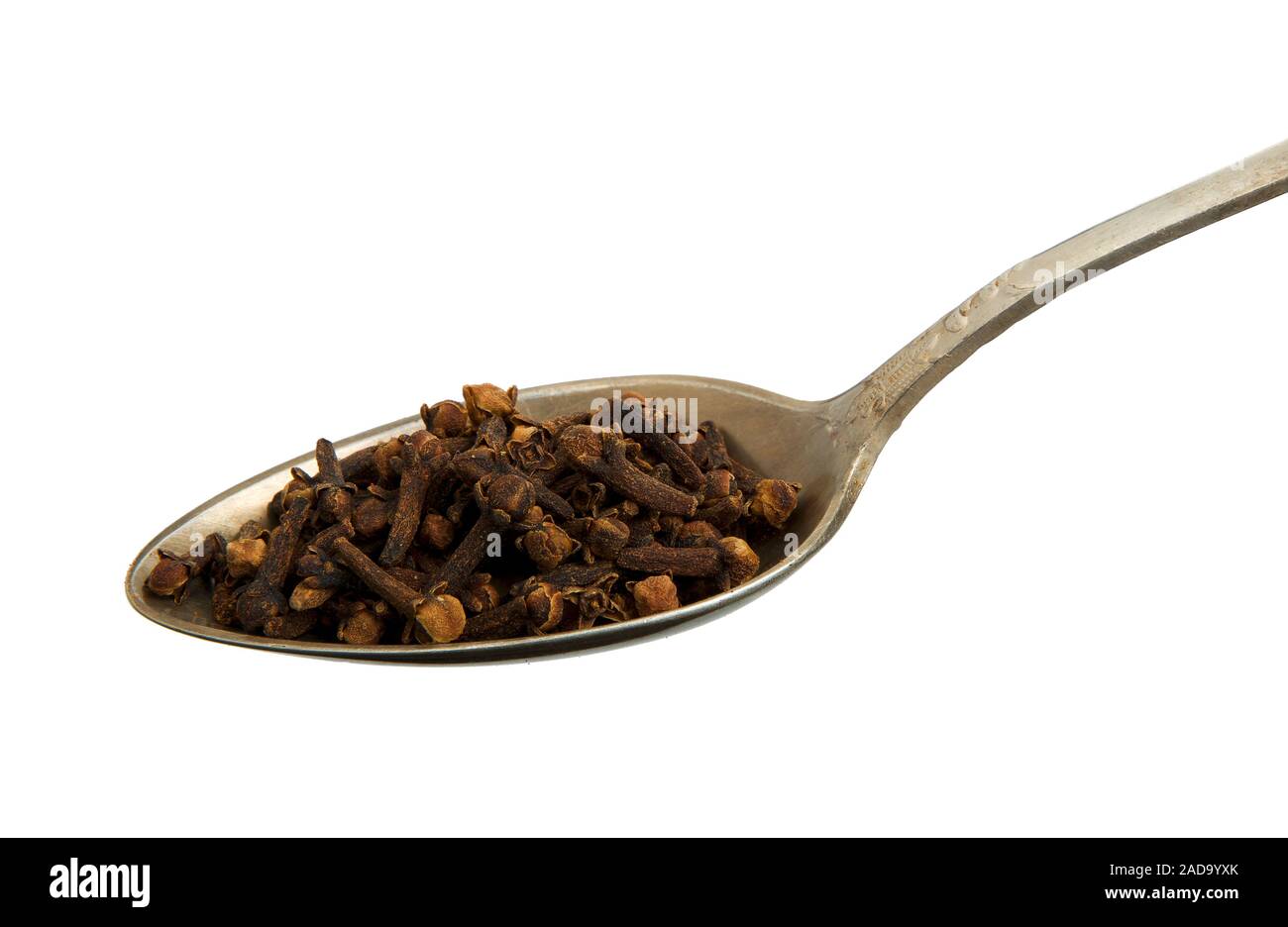 Dry cloves in a spoon isolated on a white background. Spice on isolate ...