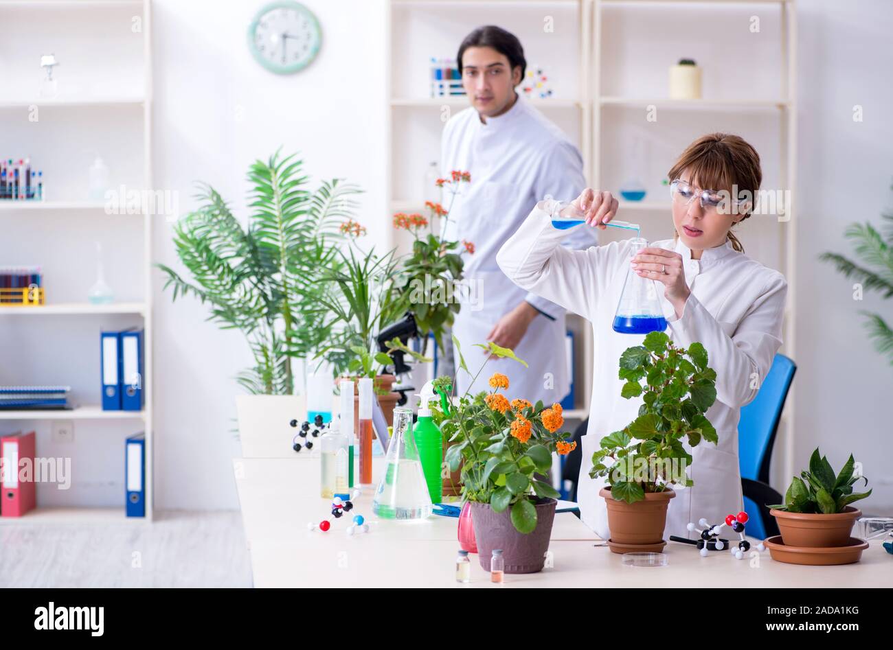 Two young botanist working in the lab Stock Photo - Alamy