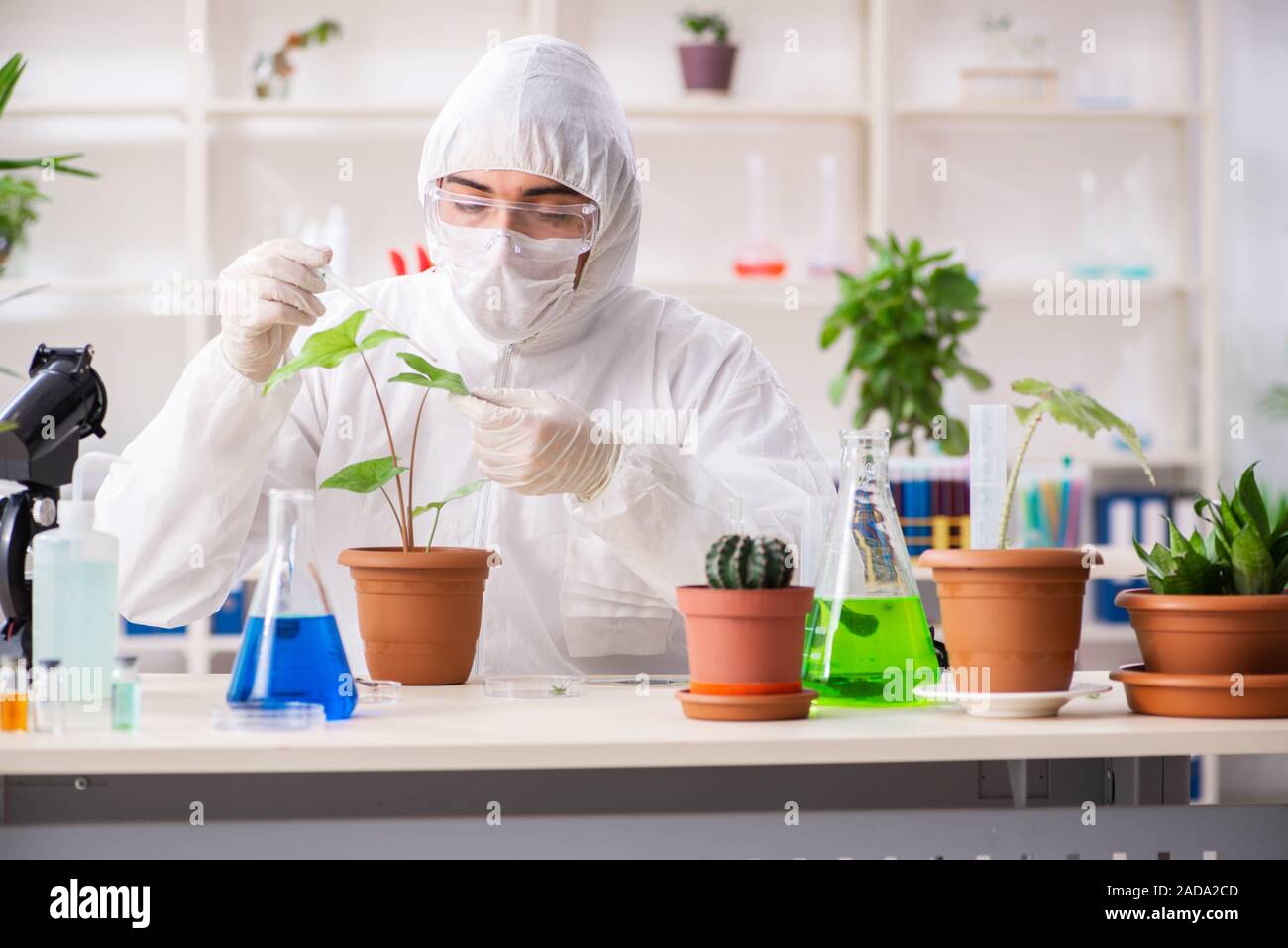 Biotechnology chemist working in lab Stock Photo - Alamy