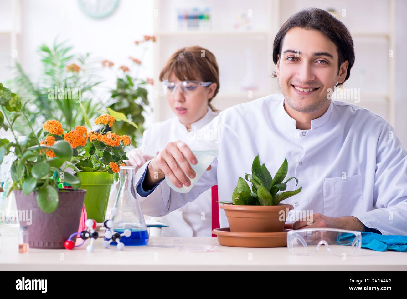 Botanist researcher woman examining green hi-res stock photography and ...