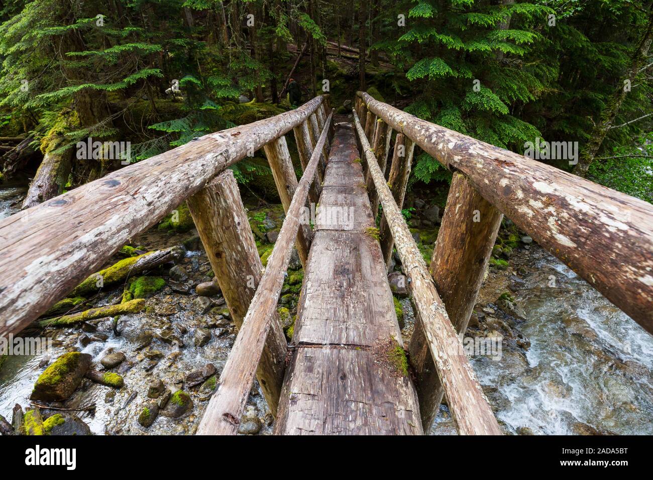 Bridge in the forest Stock Photo - Alamy
