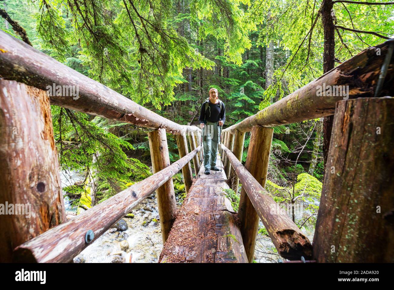Bridge in the forest Stock Photo - Alamy