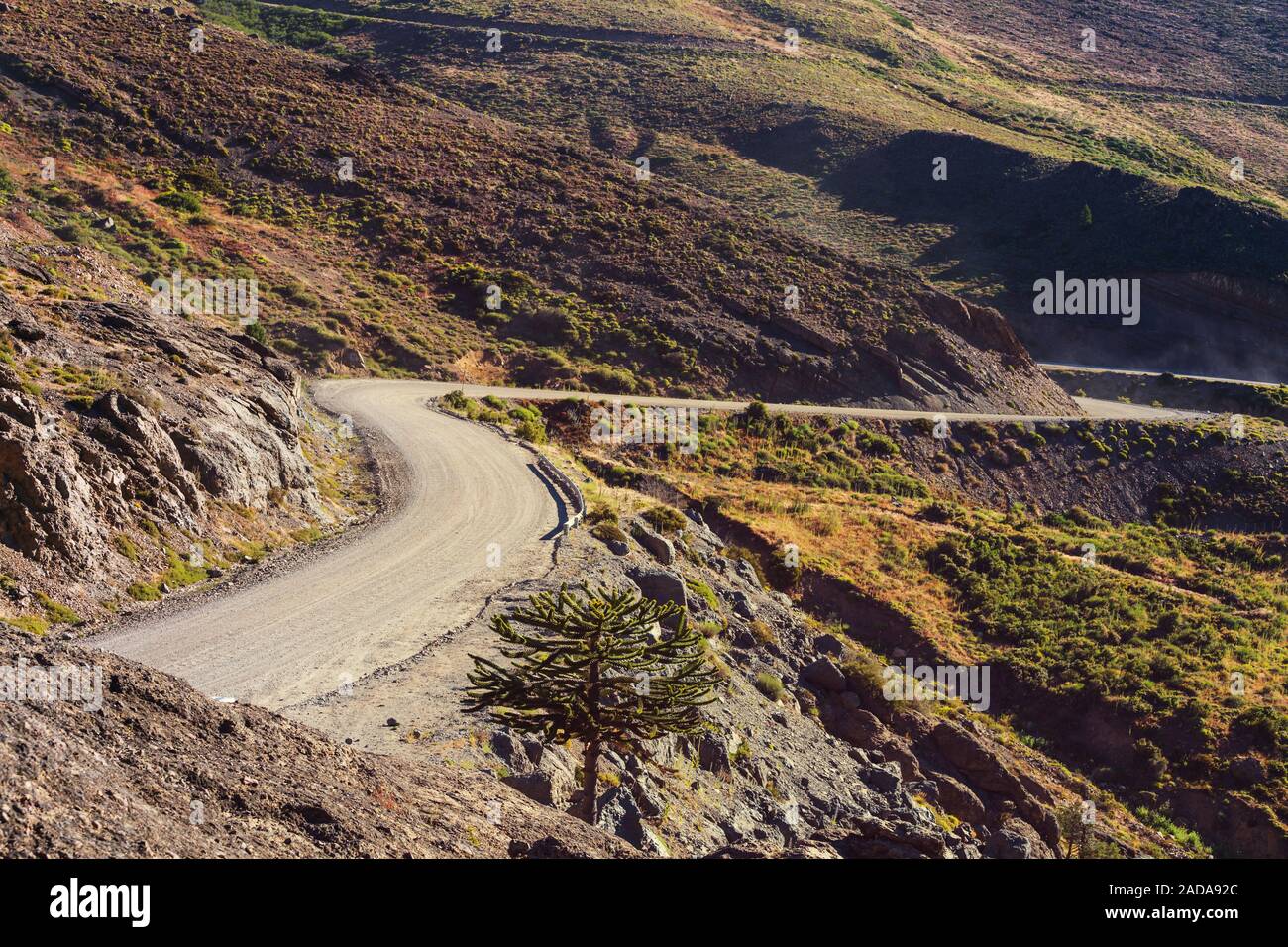 Road in Chile Stock Photo - Alamy