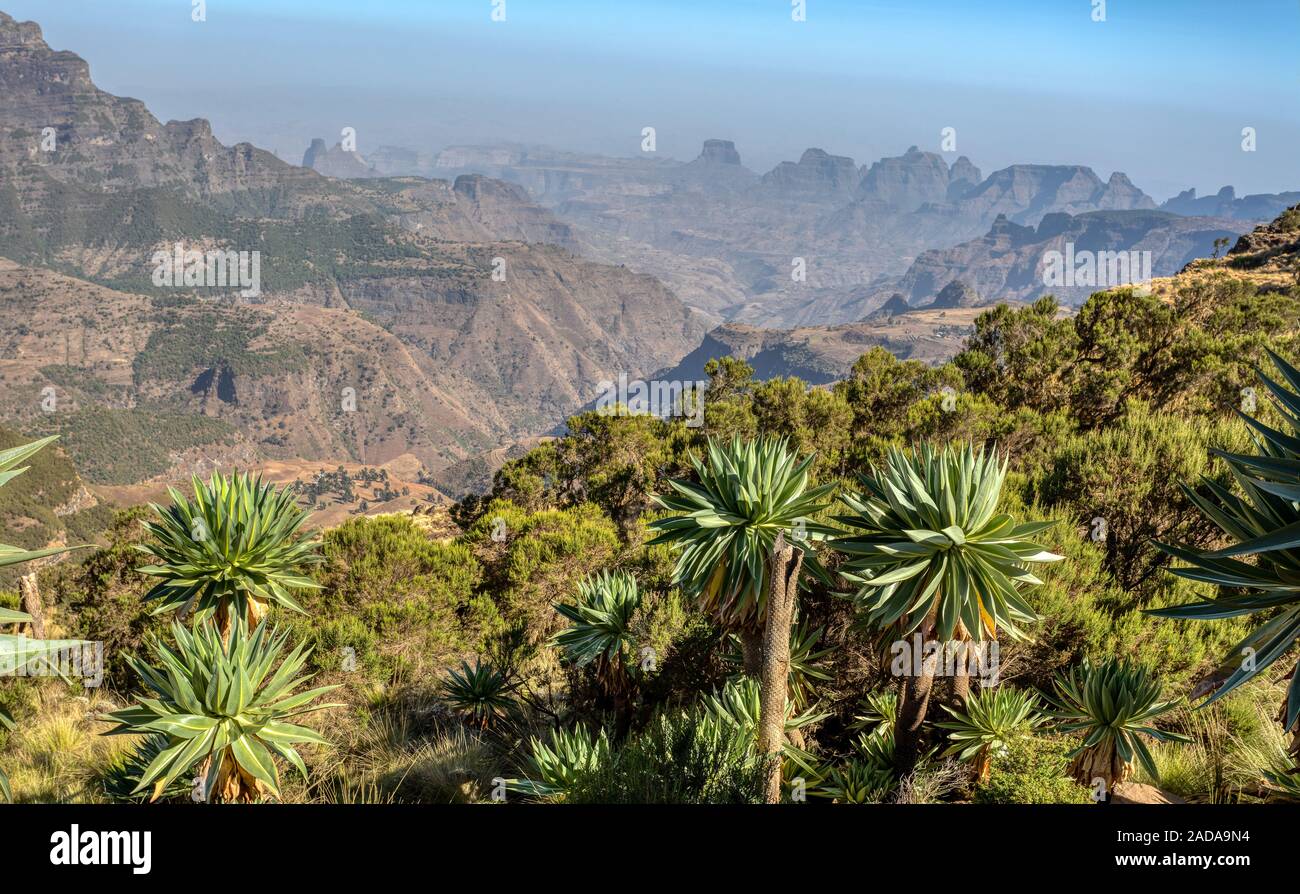 Semien mountains national park hi-res stock photography and images - Alamy