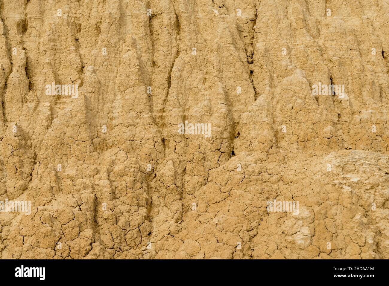 Surface of the clay sandy rock parched in the Spanish badlands Bardenas ...
