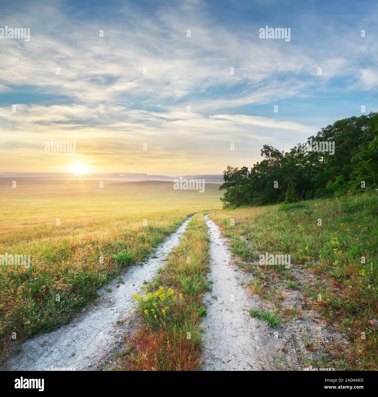Road lane and deep sky. Nature design Stock Photo - Alamy