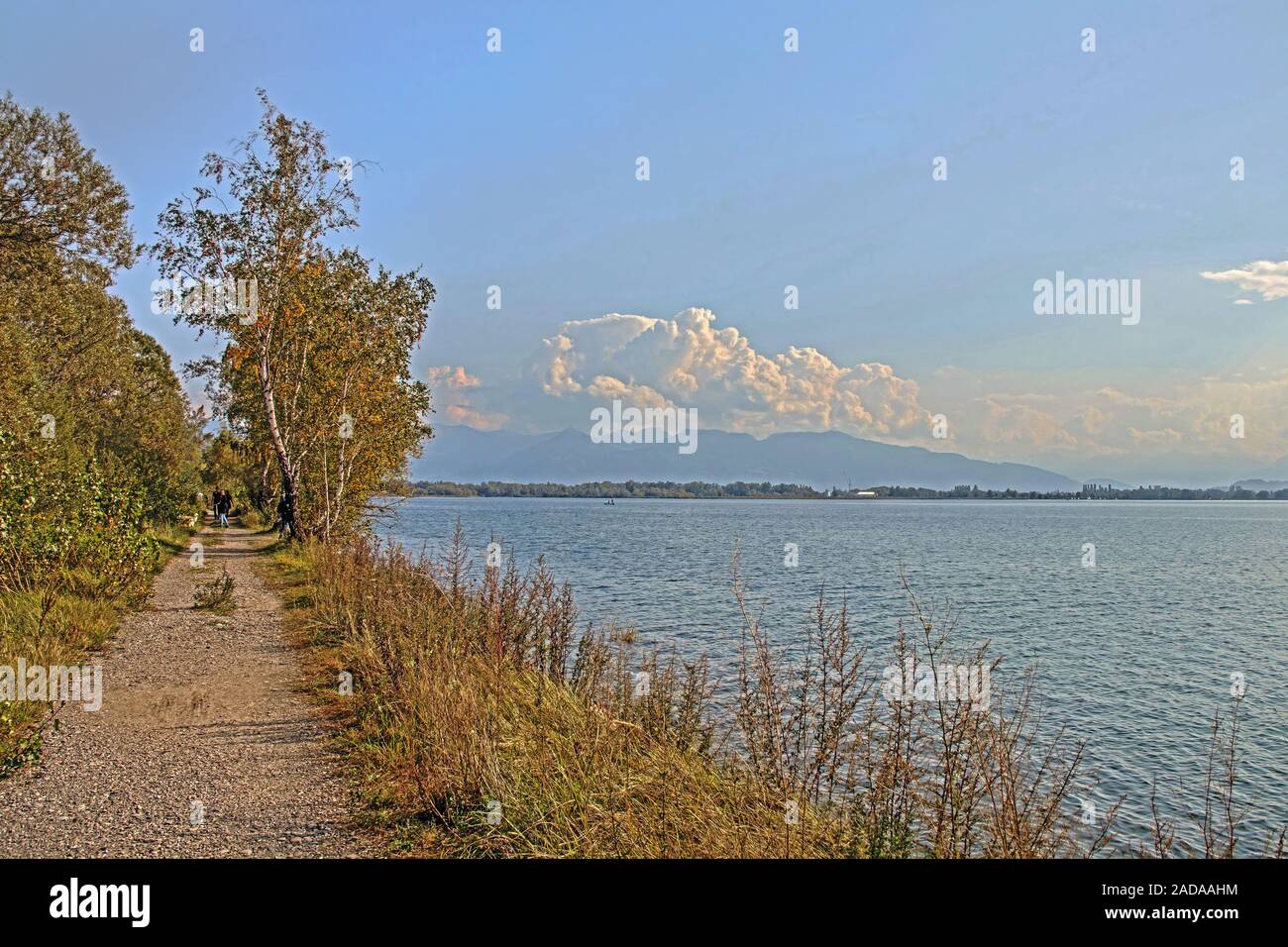 Rheindelta bei fussach am bodensee hi-res stock photography and images ...