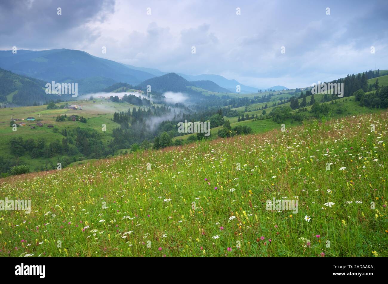 Fog in mountain. Nature landscape composition Stock Photo - Alamy
