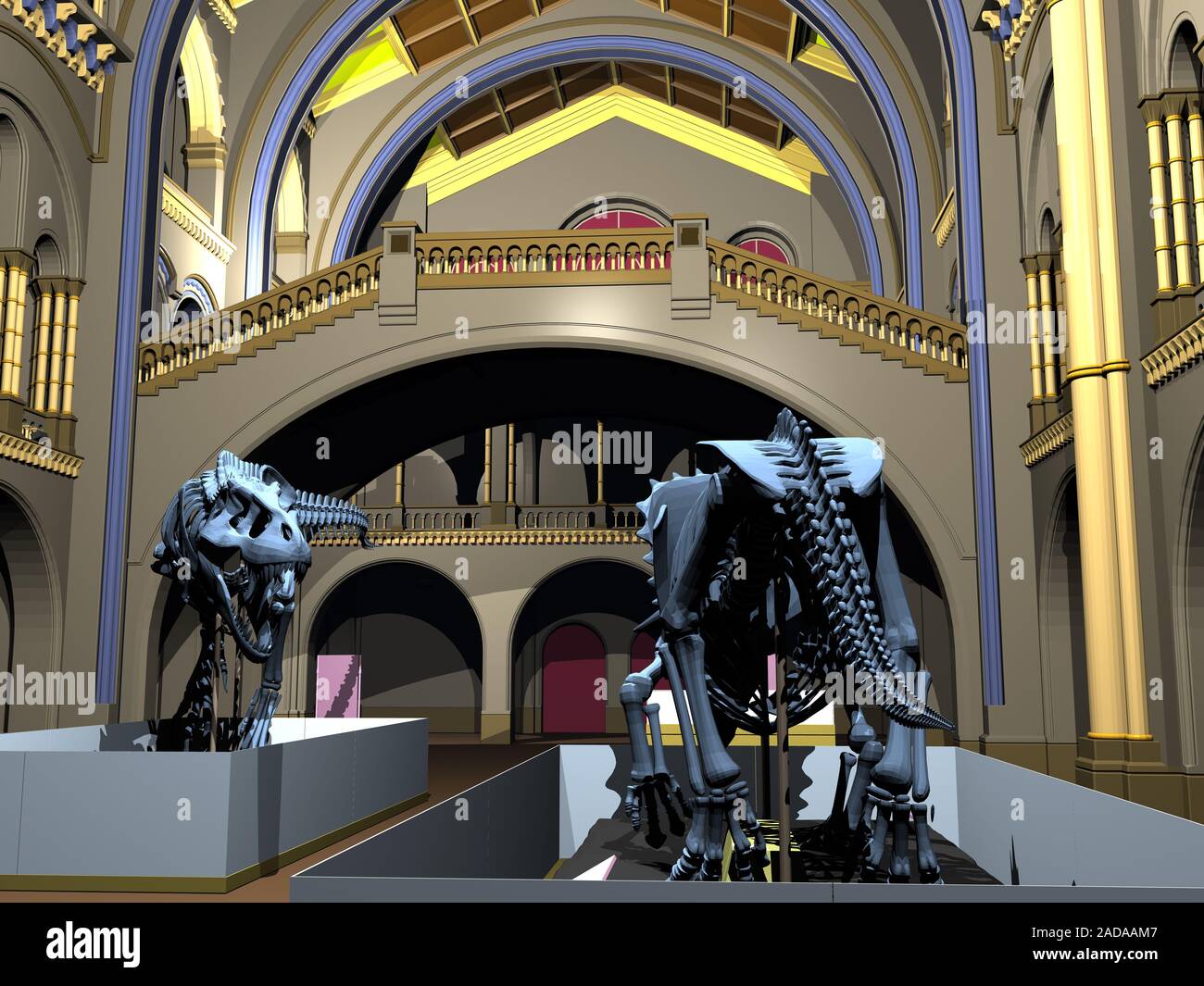 Natural History Museum with dinosaur skeleton Stock Photo - Alamy