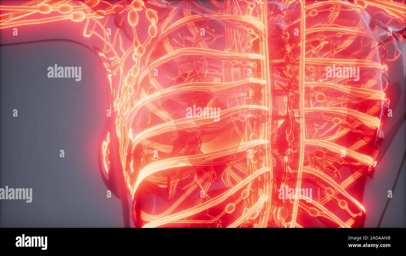 3d animation red blood cells hi-res stock photography and images - Alamy