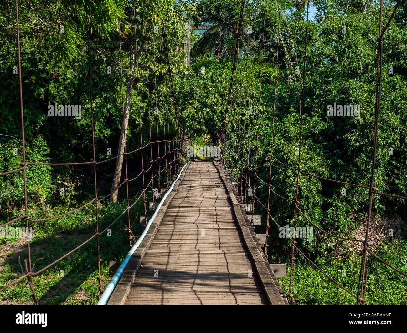 Hanging wooden bridge crossing to the rainforest. Empty suspension ...