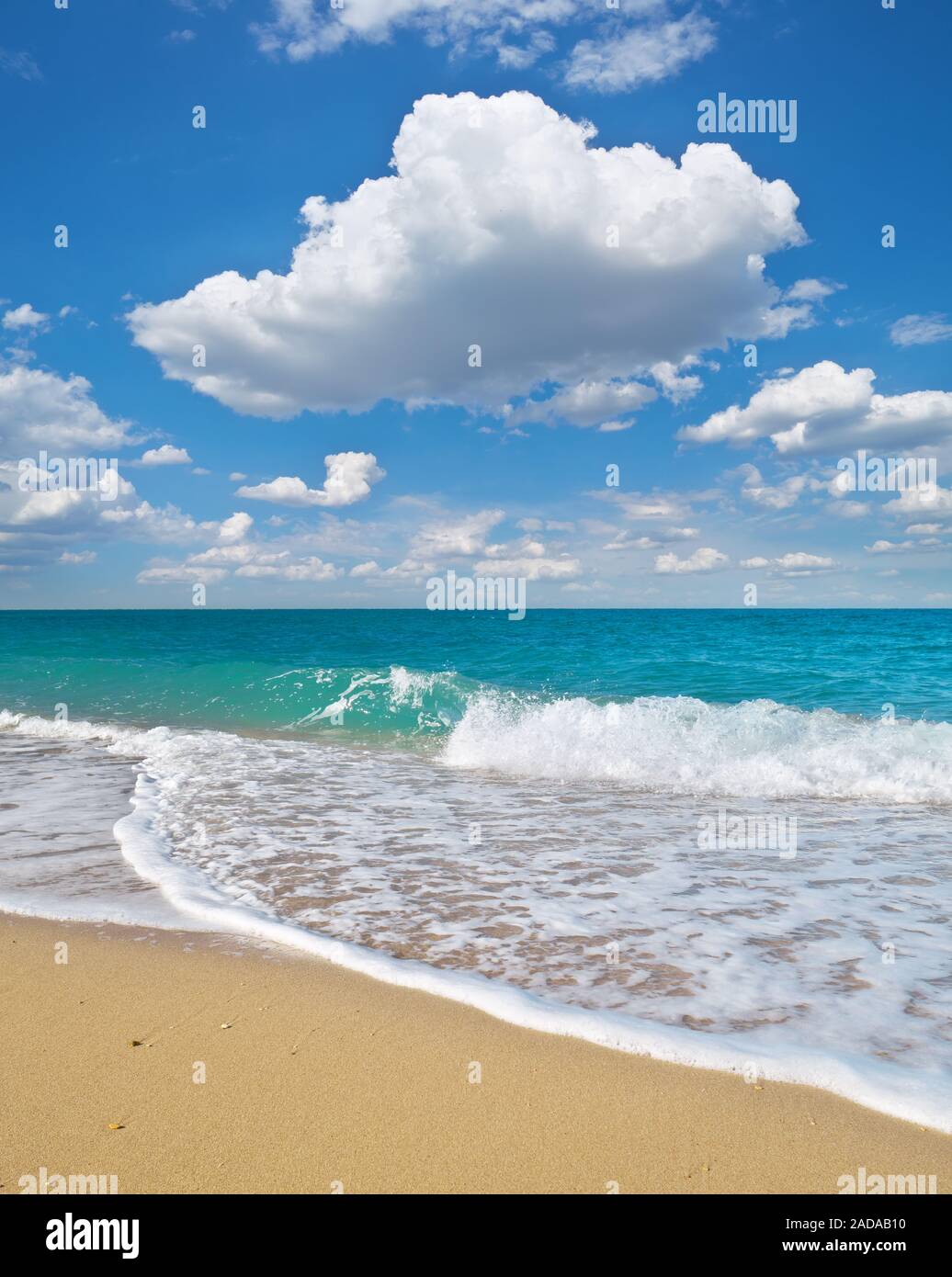 Summer on the sea beach. Element of design Stock Photo - Alamy