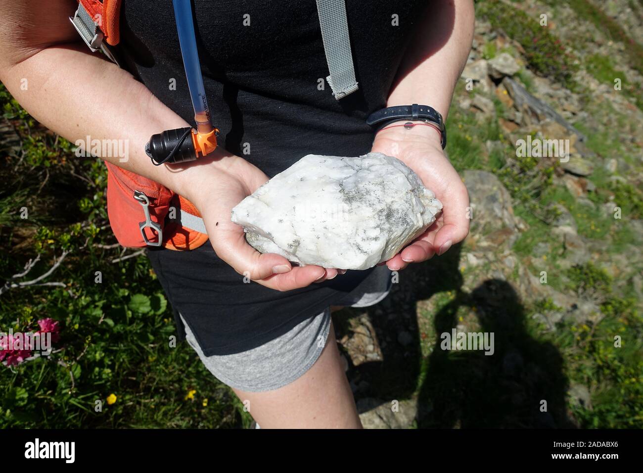 Alpengestein hi-res stock photography and images - Alamy
