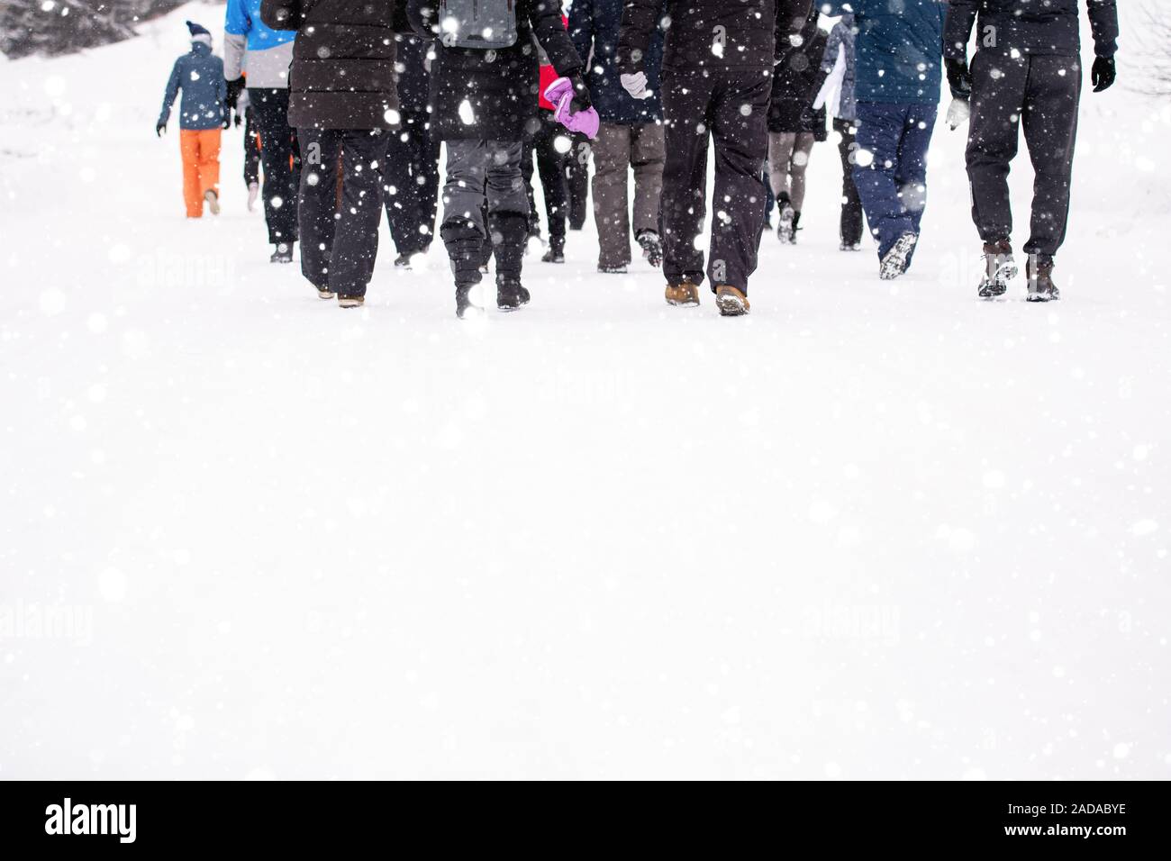 group of young people walking through beautiful winter landscape Stock ...