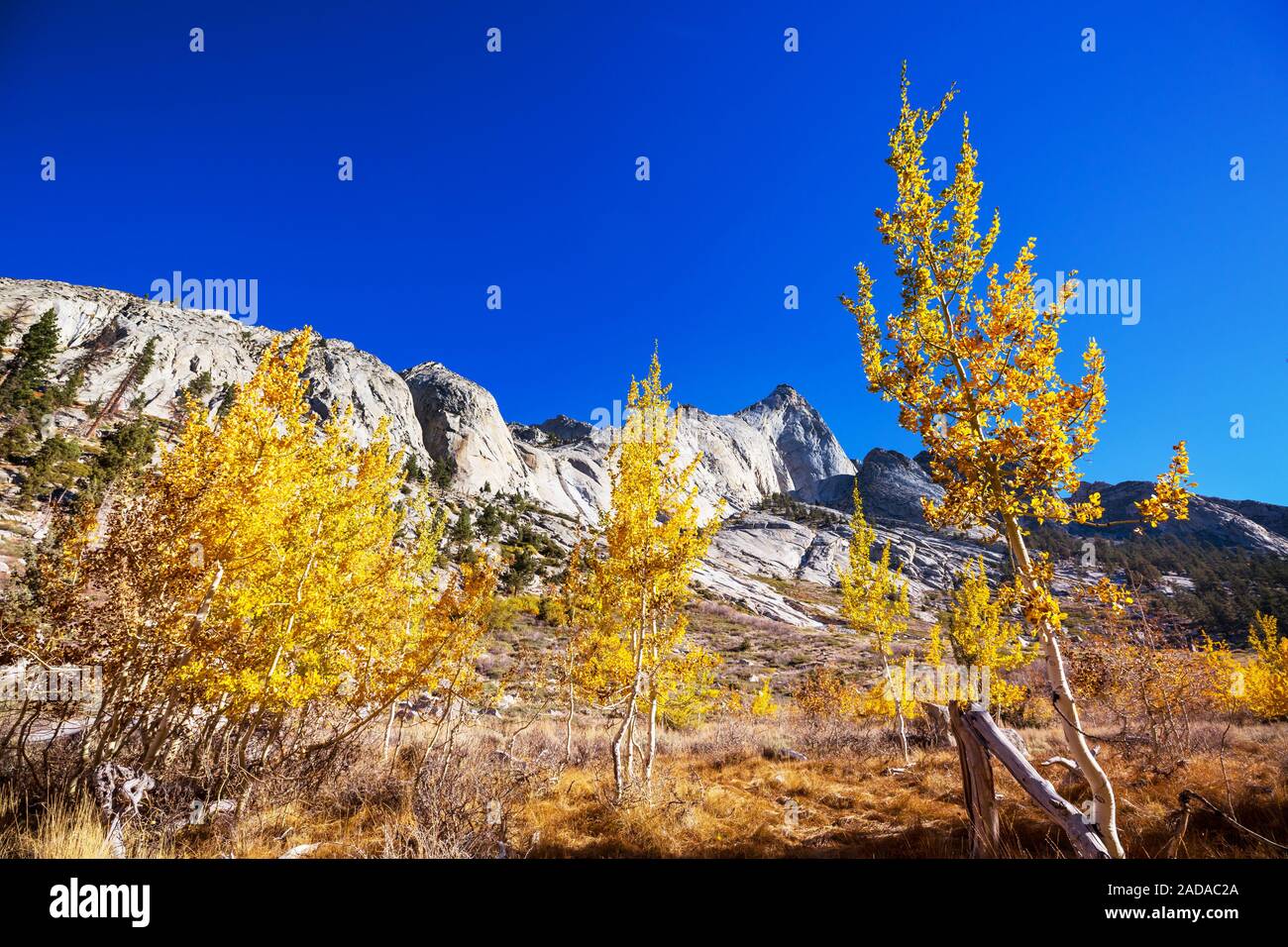 Autumn in Sierra Nevada Stock Photo - Alamy