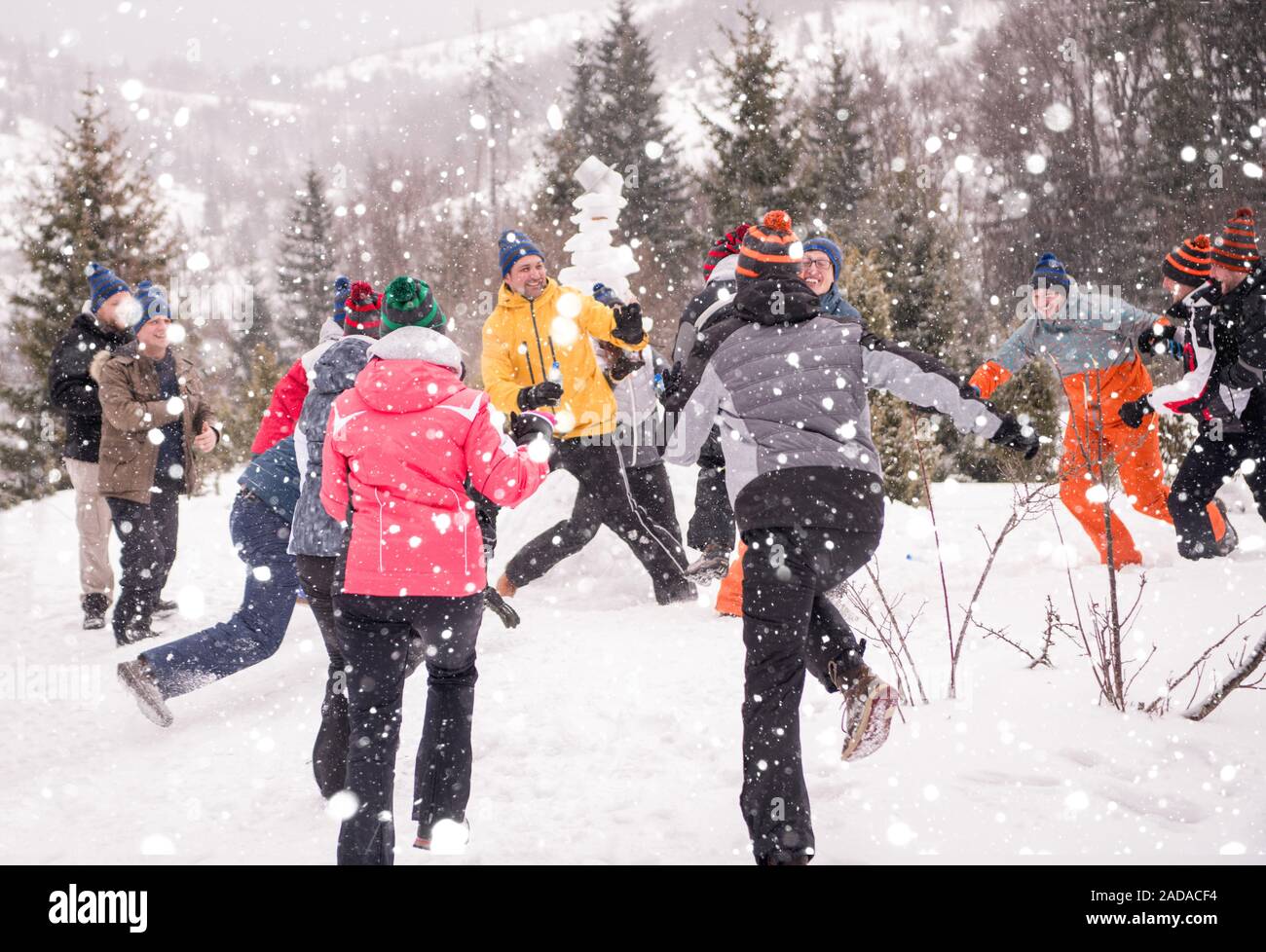 group of young people having fun in beautiful winter landscape Stock ...