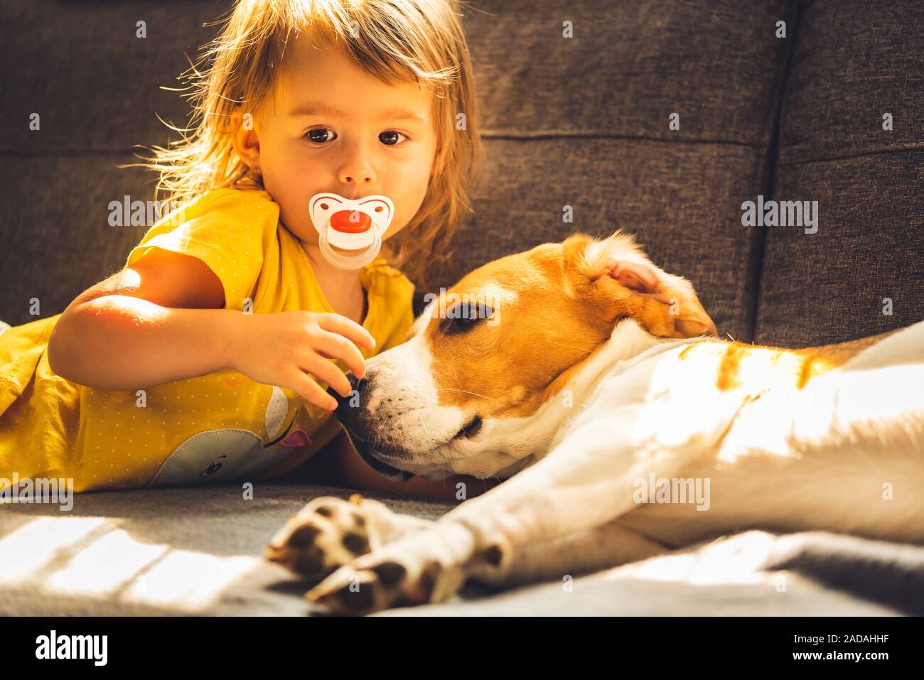Cuddle female dog hi-res stock photography and images - Alamy