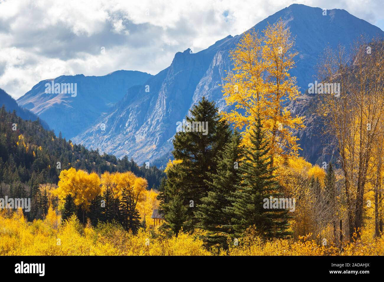 Autumn in Colorado Stock Photo - Alamy
