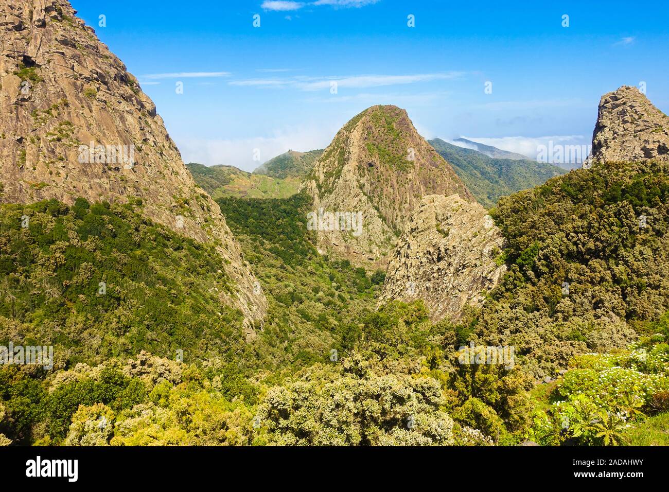 The famous weathered volcanic chimneys in Garajonay National Park, La ...