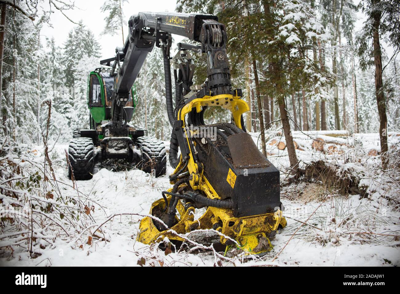 Hydraulic excavator in forest. Winter snow. Tree falling tree cutting ...