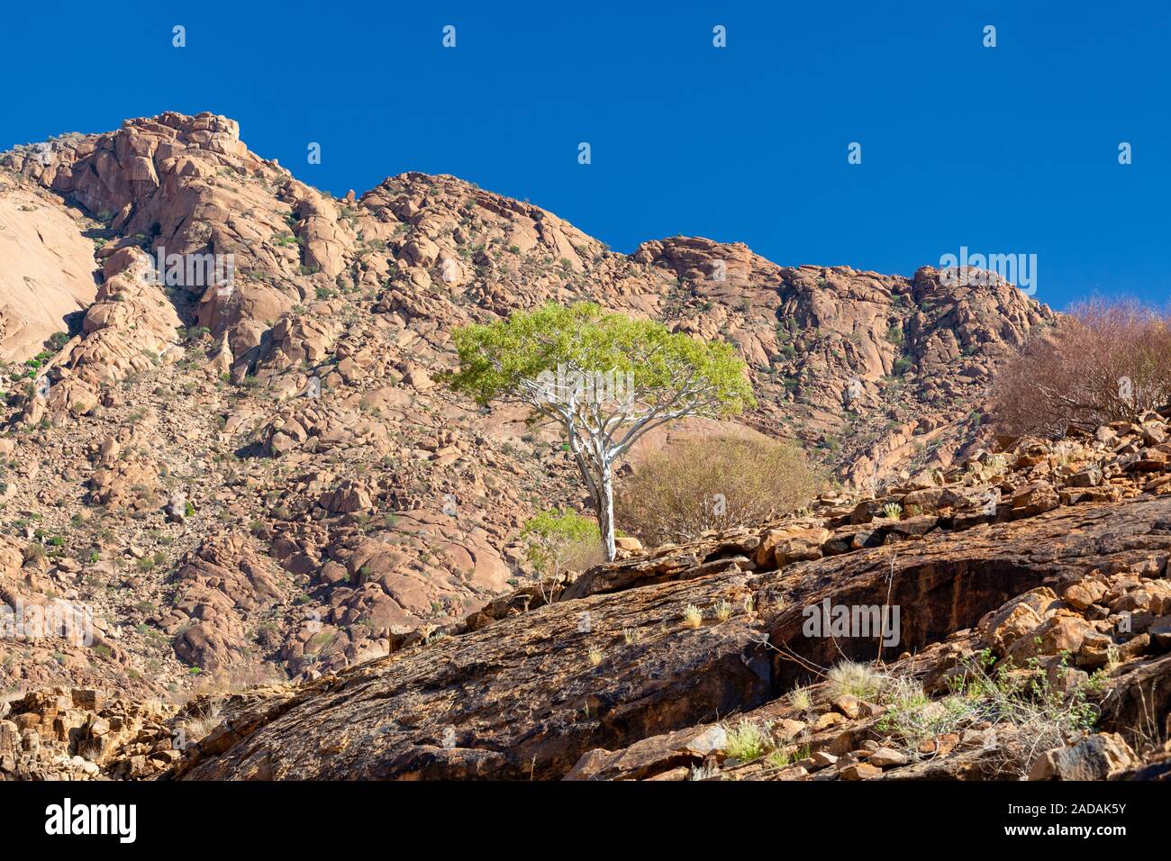White lady of brandberg hi-res stock photography and images - Alamy