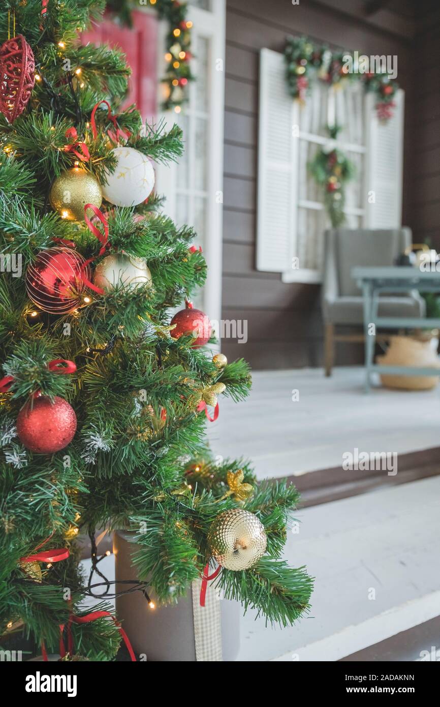 Curly Pine Branch High Resolution Stock Photography and Images - Alamy