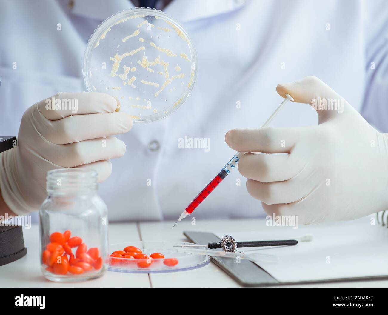 Doctor testing new drugs for medical purposes Stock Photo - Alamy