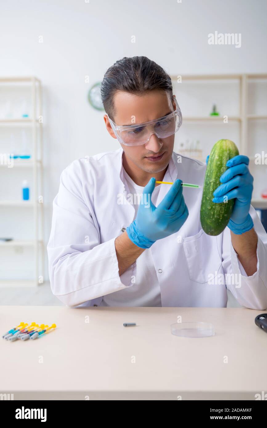 Male nutrition expert testing vegetables in lab Stock Photo - Alamy