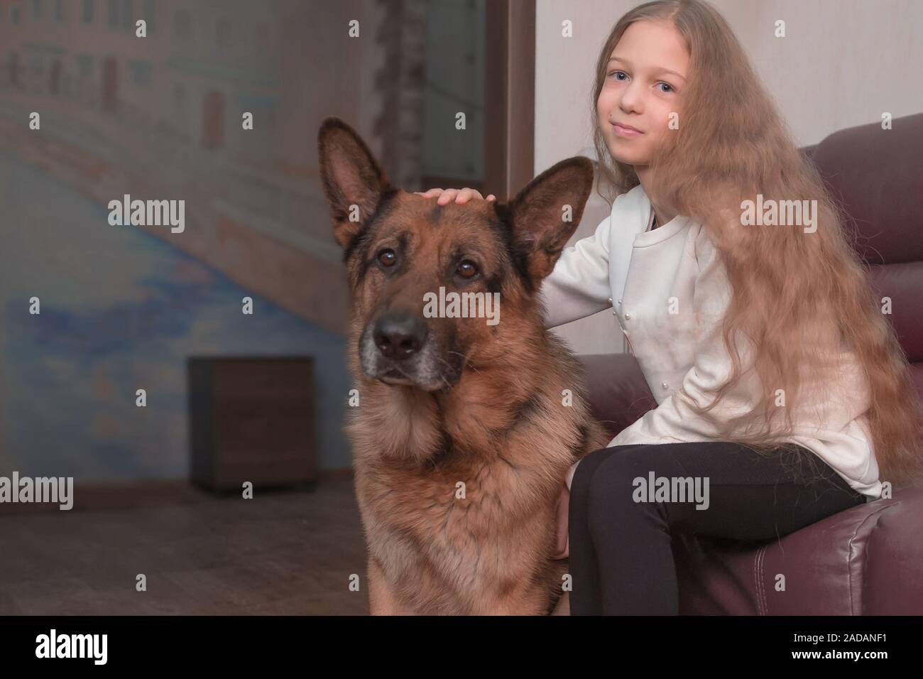portrait of a beautiful cute girl with her Pets dog.people and their ...