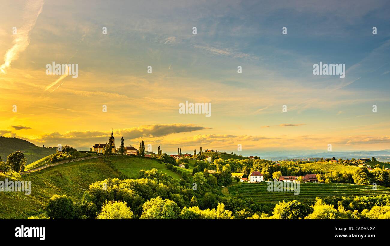 Autumn Landscape panorama of vineyard on an Austrian countryside during ...
