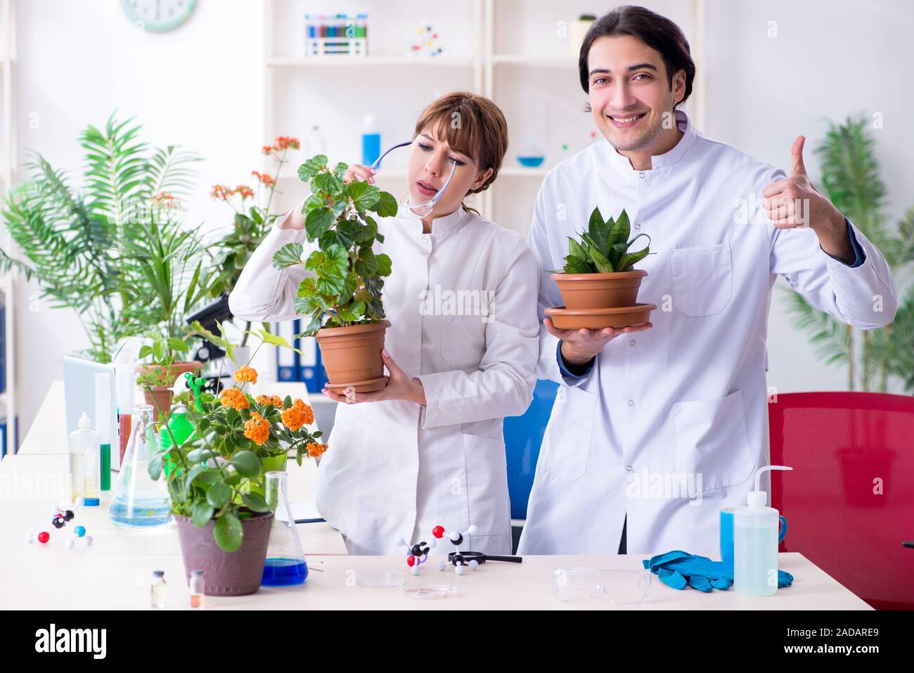 Young botanist hi-res stock photography and images - Alamy