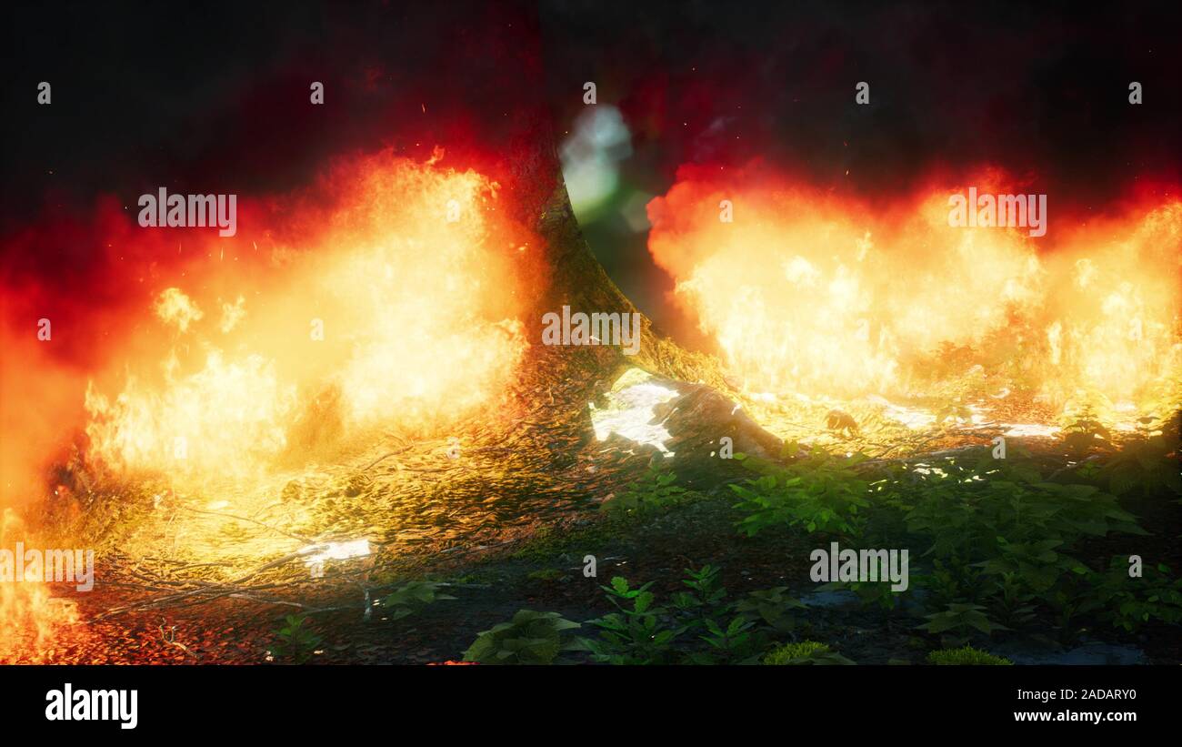 Wind blowing on a flaming trees during a forest fire Stock Photo - Alamy